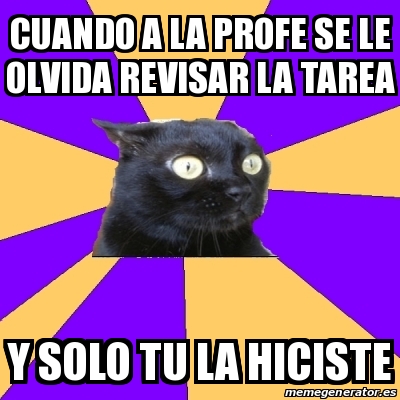 Meme Anxiety Cat - cuando a la profe se le olvida revisar la tarea y ...