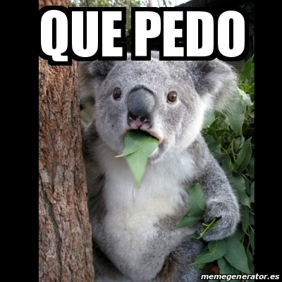 Meme Koala - que pedo - 23271014
