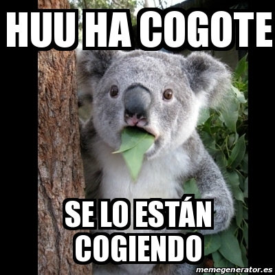 Meme Koala - Huu ha cogote Se lo estÃ¡n cogiendo - 23338605