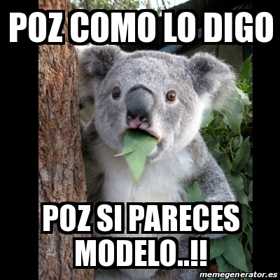 Meme Koala - poz como lo digo poz si pareces modelo..!! - 23350299