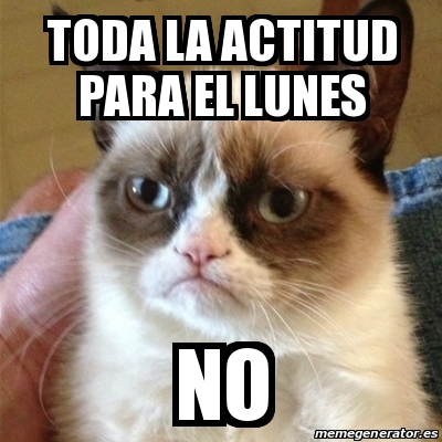 Meme Grumpy Cat - Toda la actitud para el lunes No - 23414074