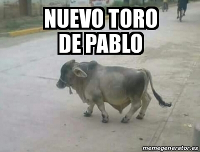 Meme Personalizado - nuevo toro de pablo - 23431003