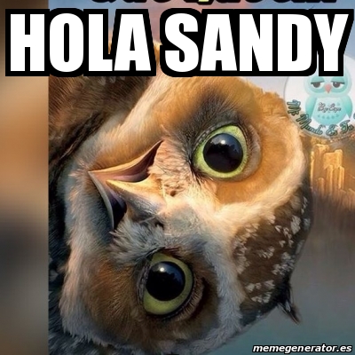 Meme Personalizado - HOLA SANDY - 23469674