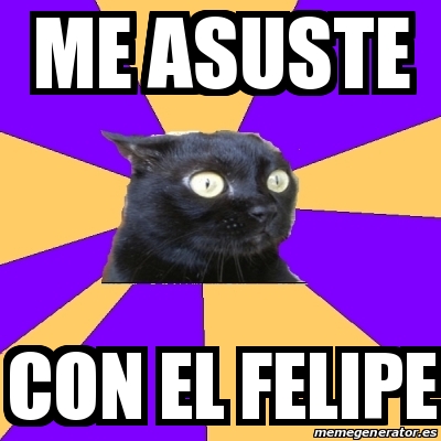 Meme Anxiety Cat - me asuste con el felipe - 23597355