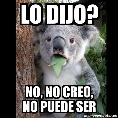 Meme Koala - lo dijo? no, no creo, no puede ser - 23600137