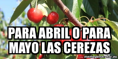 Meme Personalizado - para abril o para mayo las cerezas - 23629333