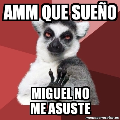 Meme Chill Out Lemur - amm que sueÃ±o miguel no me asuste - 23658330