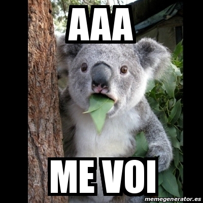 Meme Koala - Aaa Me voi - 23675157