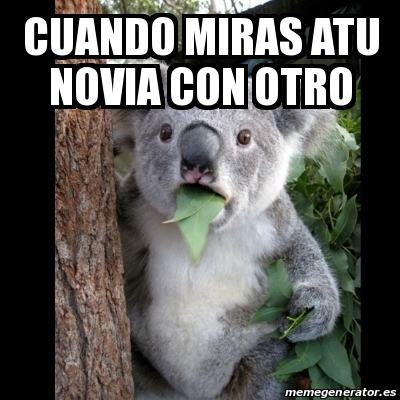Meme Koala - cuando miras atu novia con otro - 23698367