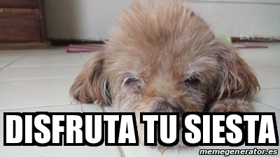 Meme Personalizado - Disfruta tu siesta - 23708372