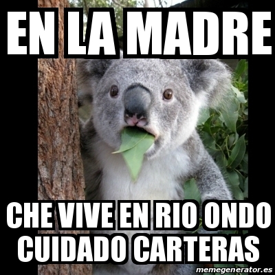 Meme Koala - en la madre che vive en rio ondo cuidado carteras - 23714122