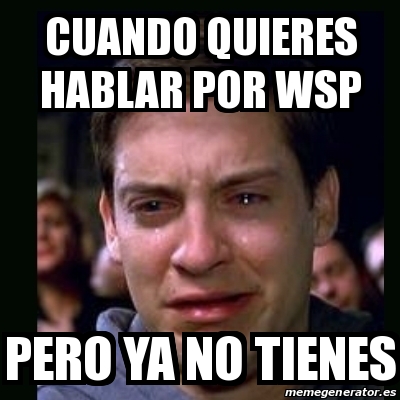Meme crying peter parker - cuando quieres hablar por wsp pero ya no ...