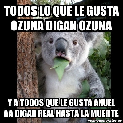 Meme Koala - todos lo que le gusta ozuna digan ozuna y a todos que le ...