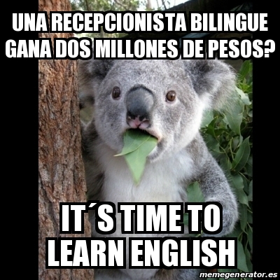 Meme Koala - una recepcionista bilingue gana dos millones de pesos? itÂ ...