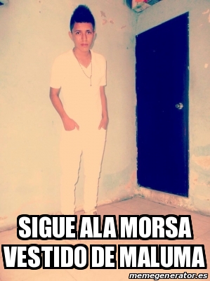 Meme Personalizado - sigue ala morsa vestido de maluma - 23825978