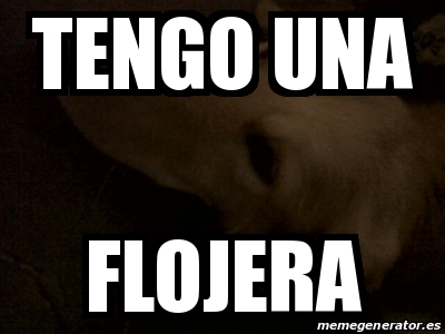 Meme Personalizado - tengo una flojera - 23888889