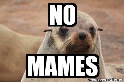 Meme Personalizado - No Mames - 23906340