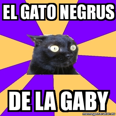 Meme Anxiety Cat - el gato negrus de la gaby - 23988414