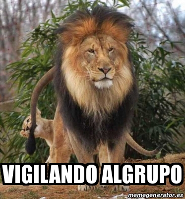 Meme Personalizado - vigilando algrupo - 24112804