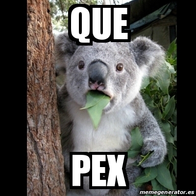 Meme Koala - que pex - 24122935