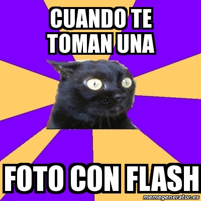Meme Anxiety Cat - cuando te toman una foto con flash - 24123576
