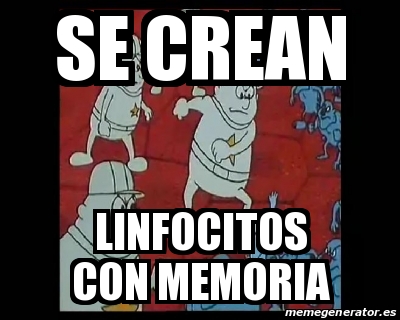 Meme Personalizado - se crean linfocitos con memoria - 24125306