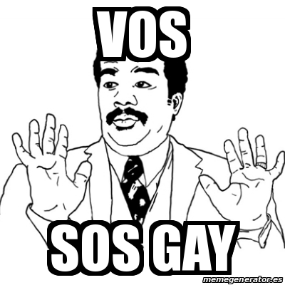 Meme Ay Si - Vos Sos gay - 24181200