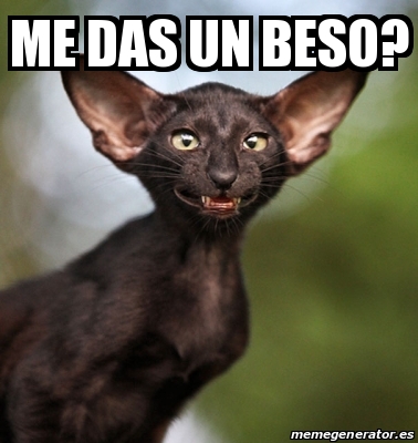 Meme Personalizado - me das un beso? - 24191373