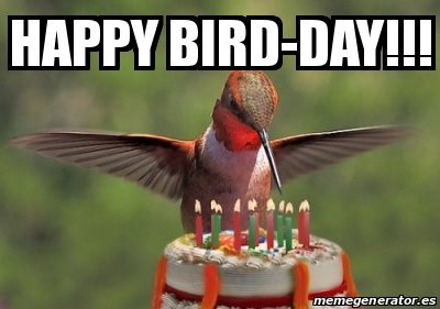Meme Personalizado - Happy BIRD-DAY!!! - 24206720