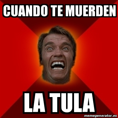 Meme Arnold - cuando te muerden la tula - 24251496