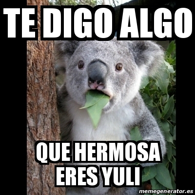 Meme Koala - Te digo algo Que hermosa eres yuli - 24300073