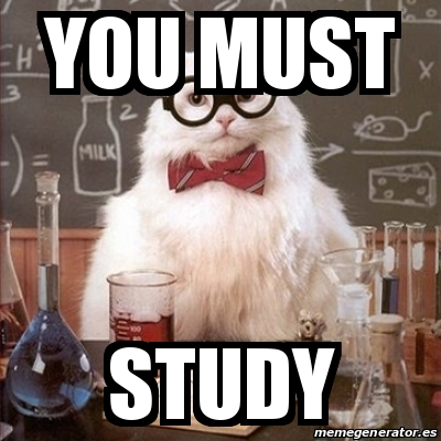 Meme Chemistry Cat - you must studY - 24312965