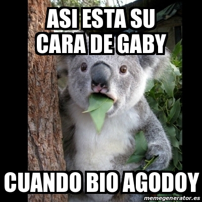 Meme Koala - asi esta su cara de gaby cuando bio agodoy - 24339676