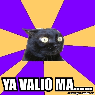 Meme Anxiety Cat - ya valio ma....... - 24340526