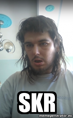 Meme Personalizado - skr - 24364771