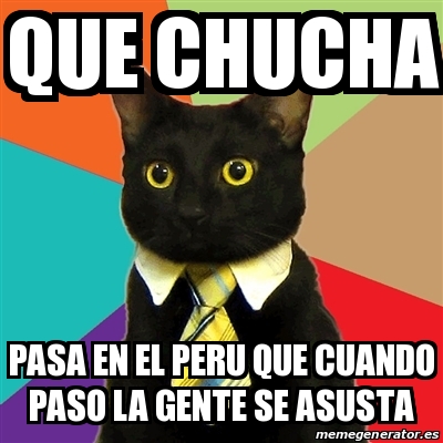Meme Business Cat - QUE CHUCHA PASA EN EL PERU QUE CUANDO PASO LA GENTE ...