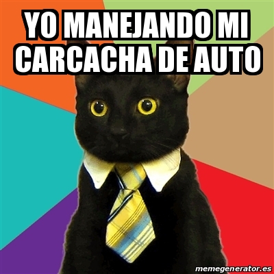 Meme Business Cat - YO MANEJANDO MI CARCACHA DE AUTO - 24498871
