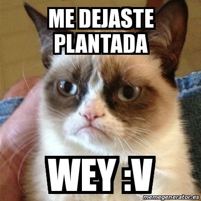 Meme Grumpy Cat - me dejaste plantada wey :v - 24525916