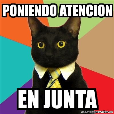 Meme Business Cat - PONIENDO ATENCION EN JUNTA - 24536813