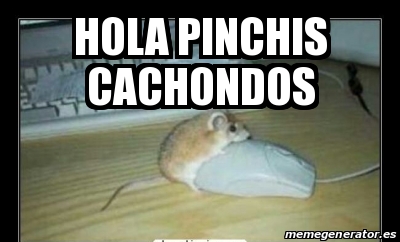Meme Personalizado - Hola pinchis cachondos - 24545166