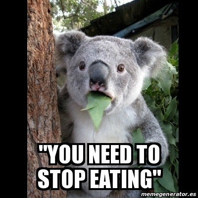 Meme Koala - "YOU NEED TO STOP EATING" - 24559466