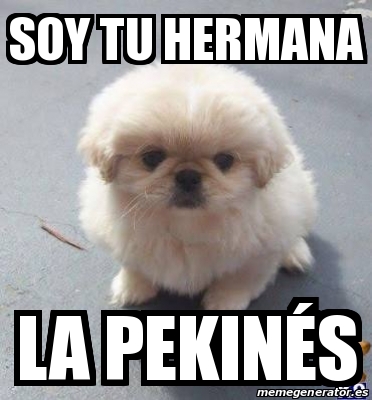 Meme Personalizado - Soy tu hermana La pekinÃ©s - 24560191