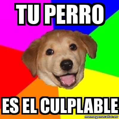 Meme Advice Dog - tu perro es el culplable - 24578749