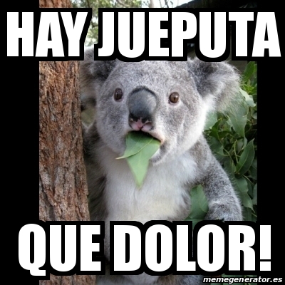 Meme Koala - hay jueputa que dolor! - 24589048