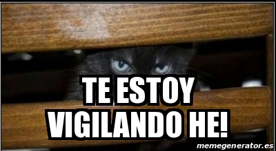 Meme Personalizado - Te estoy vigilando he! - 24604113