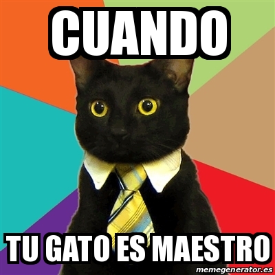 Meme Business Cat - cuando tu gato es maestro - 24612925