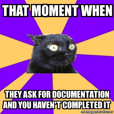Meme Anxiety Cat - That moment when they ask for documentation and you ...