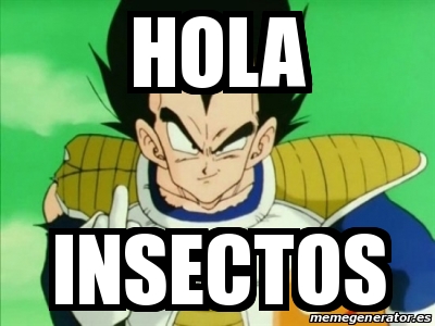 Meme Personalizado - Hola Insectos - 24643995