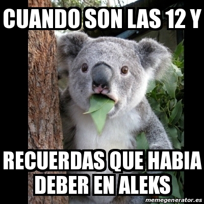 Meme Koala - cuando son las 12 y recuerdas que habia deber en Aleks ...