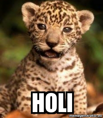 Meme Personalizado - HOlI - 24684375